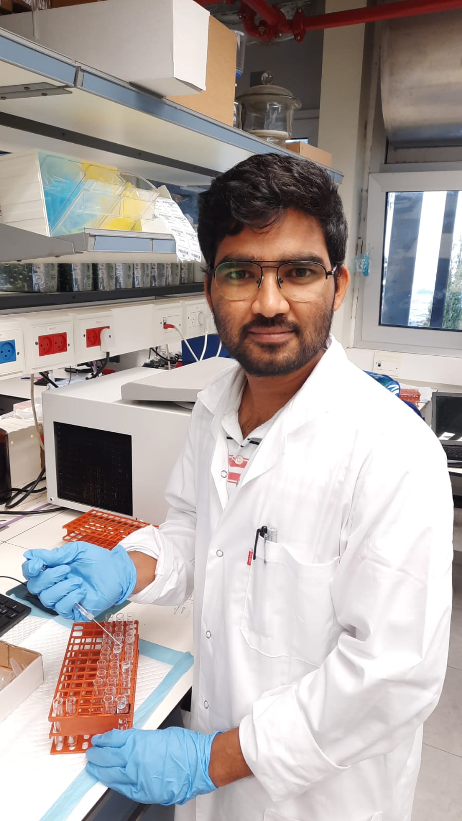 The Group - Ashraf Brik : Ashraf Brik